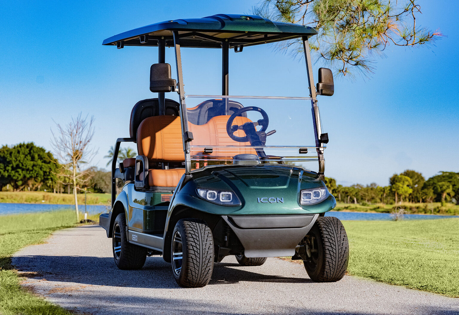 ICON 2025 G40 Gas Golf Carts for Sale